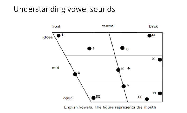 Speech Sound | StudyTution - StudyTution